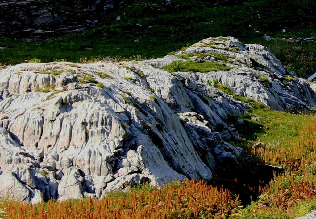 Quand la nature sculpte les lapiaz - La-Yaute.fr